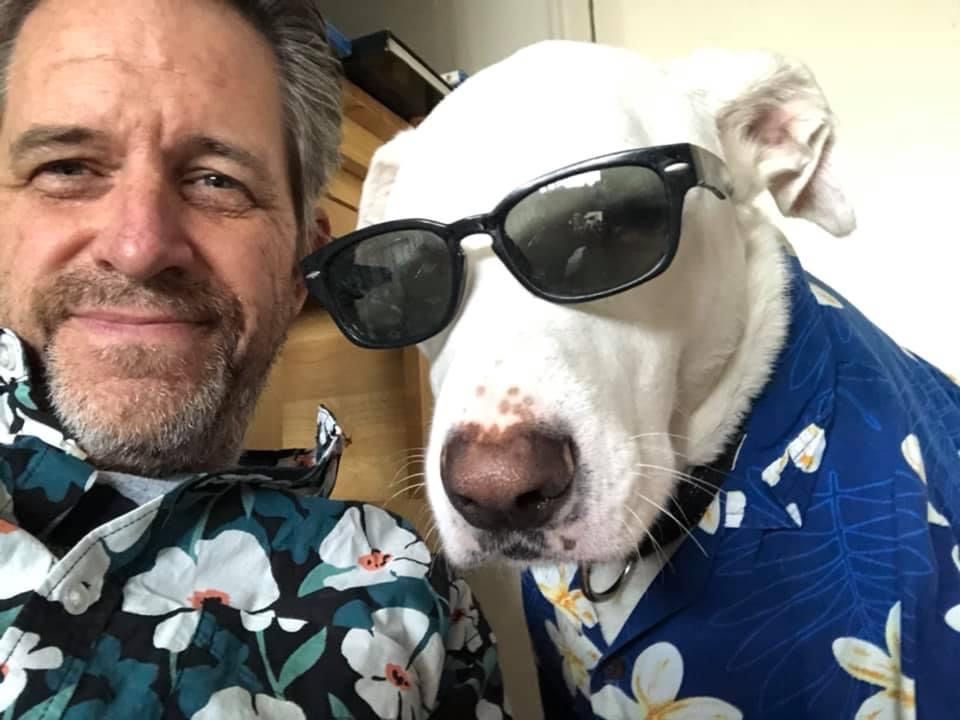 Timothy Rideout | Collider