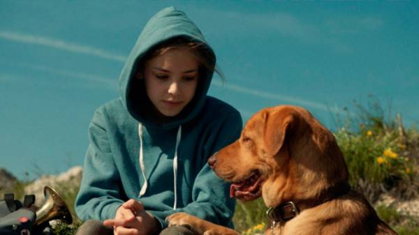 WHITE GOD Review | Sundance 2015