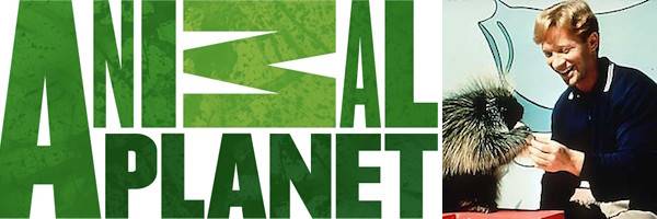 15 Best 90s Game Shows for Kids Ranked