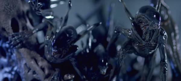 Alien King Makes His Royal Debut on #AlienDay426