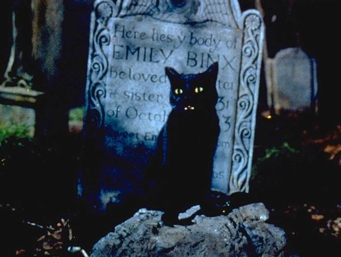 Sorry Salem, the Best Talking Cat Is Actually in This Movie
