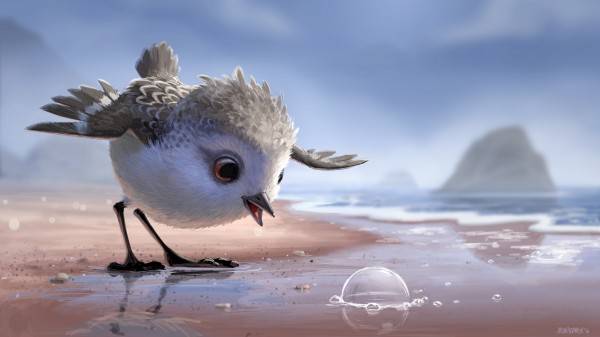 Piper: 12 Things to Know About New Pixar Short Film