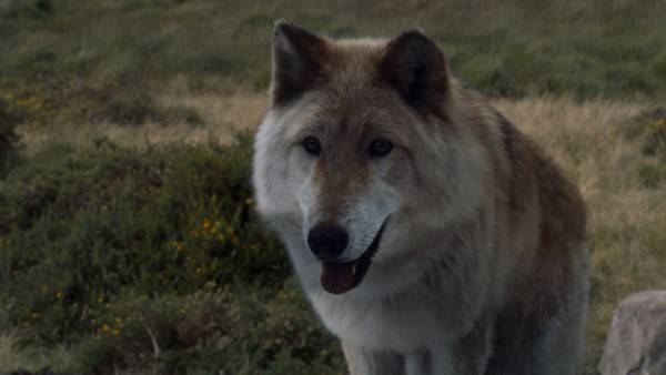 Game of Thrones Children of the Forest Explained