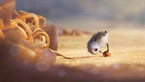 Piper: 12 Things to Know About New Pixar Short Film