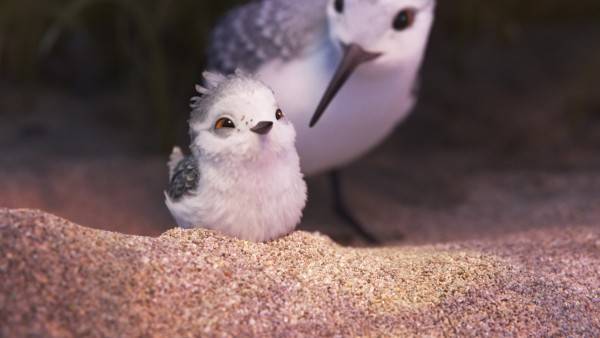 Piper: 12 Things to Know About New Pixar Short Film