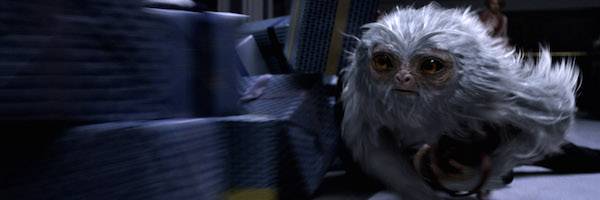 Fantastic Beasts: Creatures from the New Trailer Explained