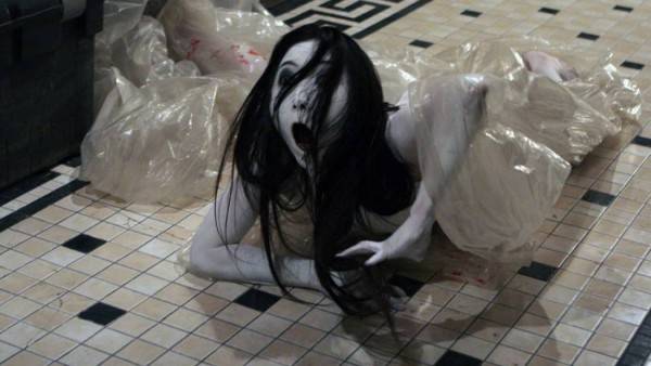 The Ring vs The Grudge Review: A Ghostly Grudge Match