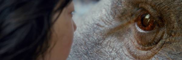 Okja Review: You'll Fall in Love with This CGI Super Pig