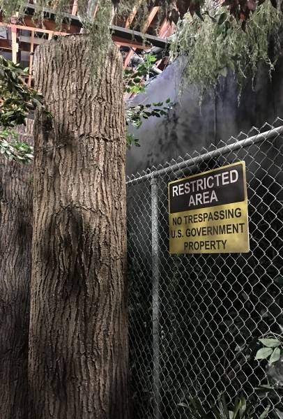 Halloween Horror Nights Stranger Things Maze: 13 Things to Know