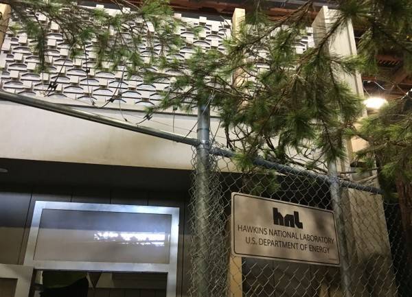 Halloween Horror Nights Stranger Things Maze: 13 Things to Know