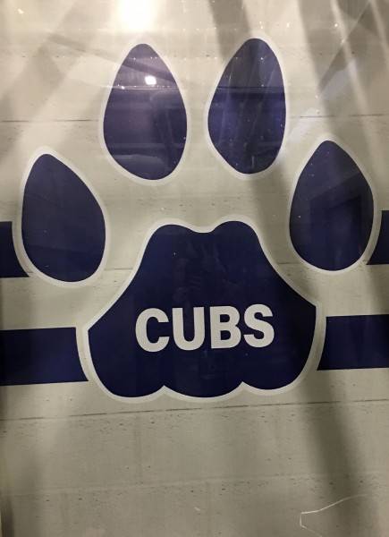 Halloween Horror Nights Stranger Things Maze: 13 Things to Know