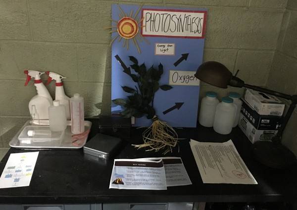 Halloween Horror Nights Stranger Things Maze: 13 Things to Know