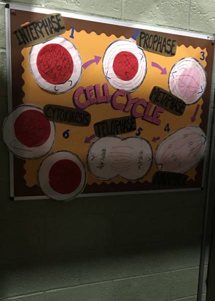 Halloween Horror Nights Stranger Things Maze: 13 Things to Know