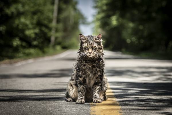 Pet Sematary Ending Explained: Let's Talk About Those Changes | Collider