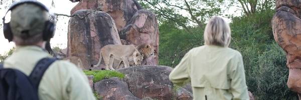 Magic of Disney's Animal Kingdom Review: Disney+ Series Is Adorable