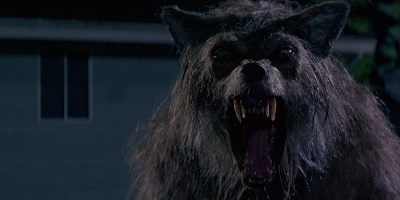 Werewolf Chartúin Scary