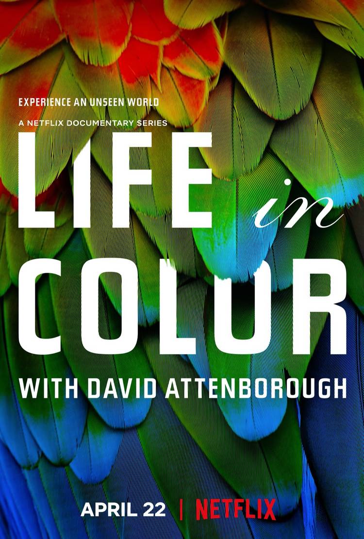 Netflix's Life in Color Trailer Reveals David Attenborough Nature Doc