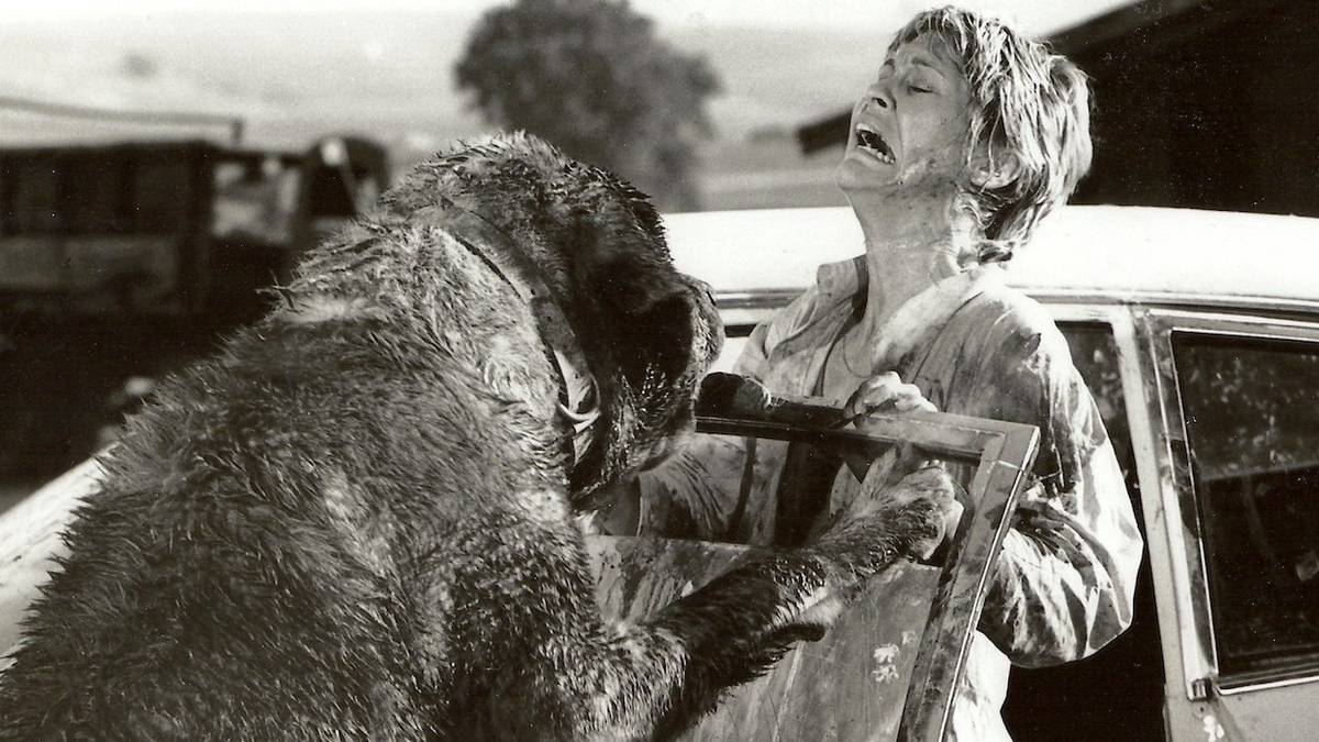 New Stephen King Novella Rattlesnakes Serves as Cujo Sequel