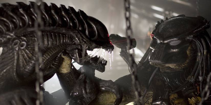 All 9 Predator Movies, Ranked According to Letterboxd