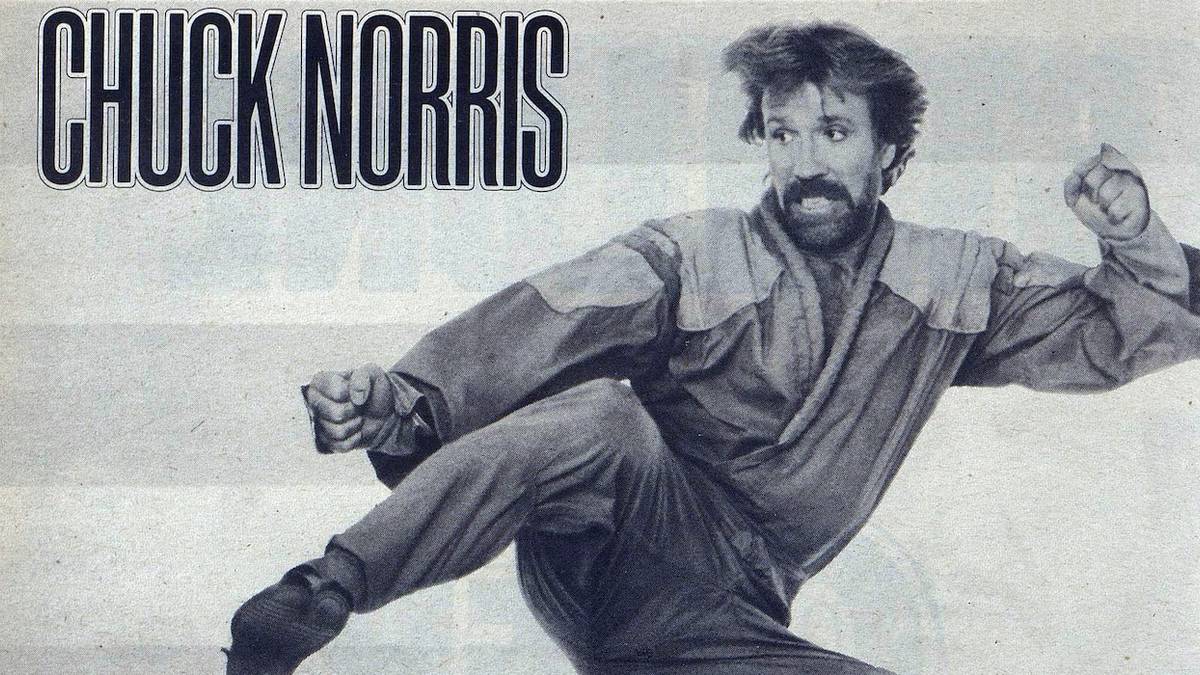 American Ninja Movies Explained in These Fists Break Bricks Excerpt