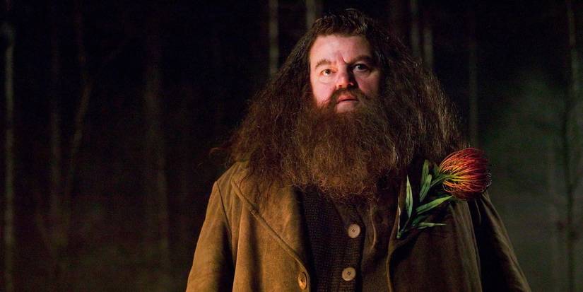 10 Best Harry Potter Characters From Gryffindor, Ranked