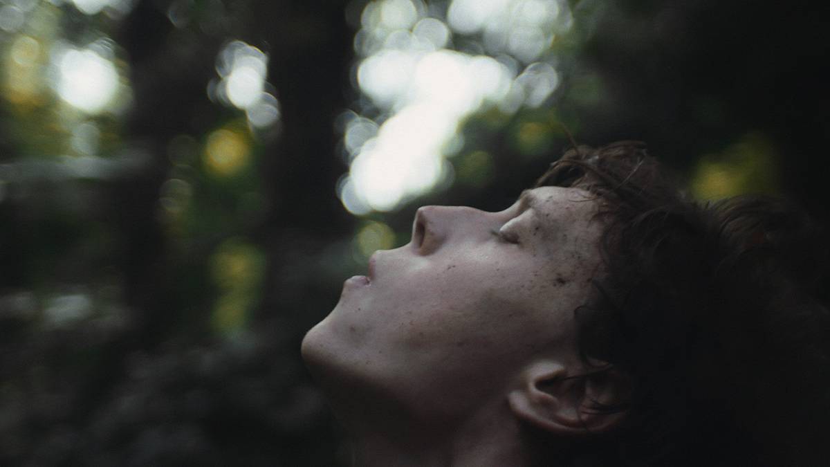 Wolf Review: George MacKay Shines in Haunting Fable