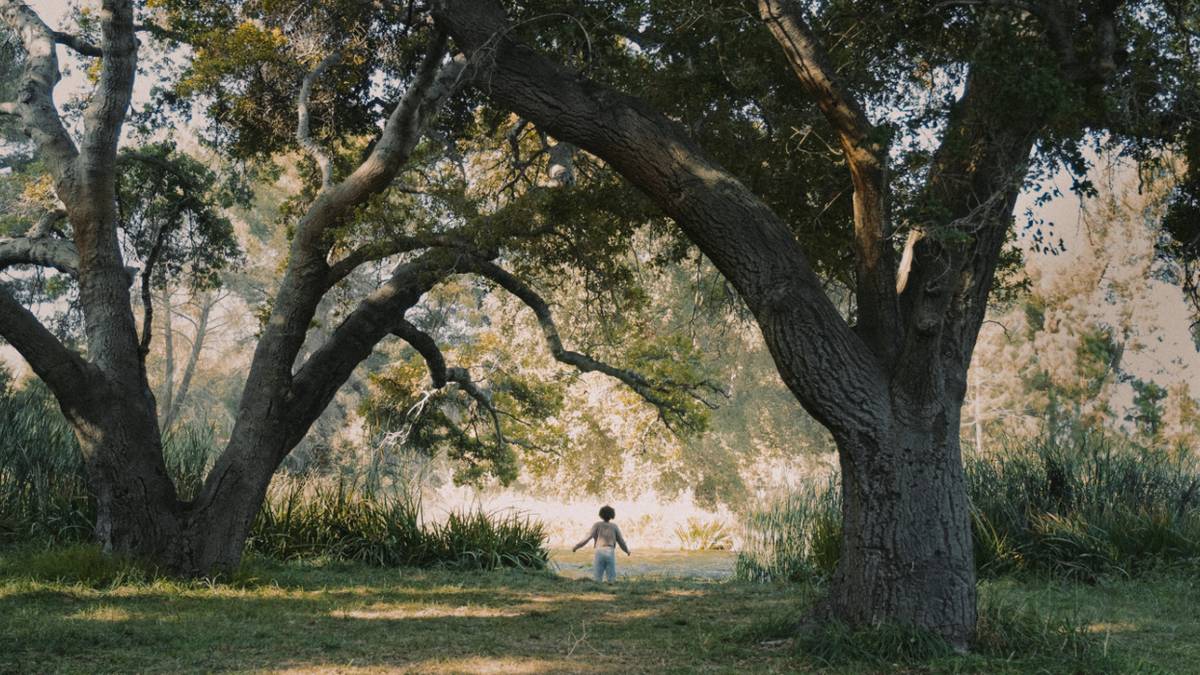 Kindred: Octavia E. Butler TV Adaptation Sets December Release Date