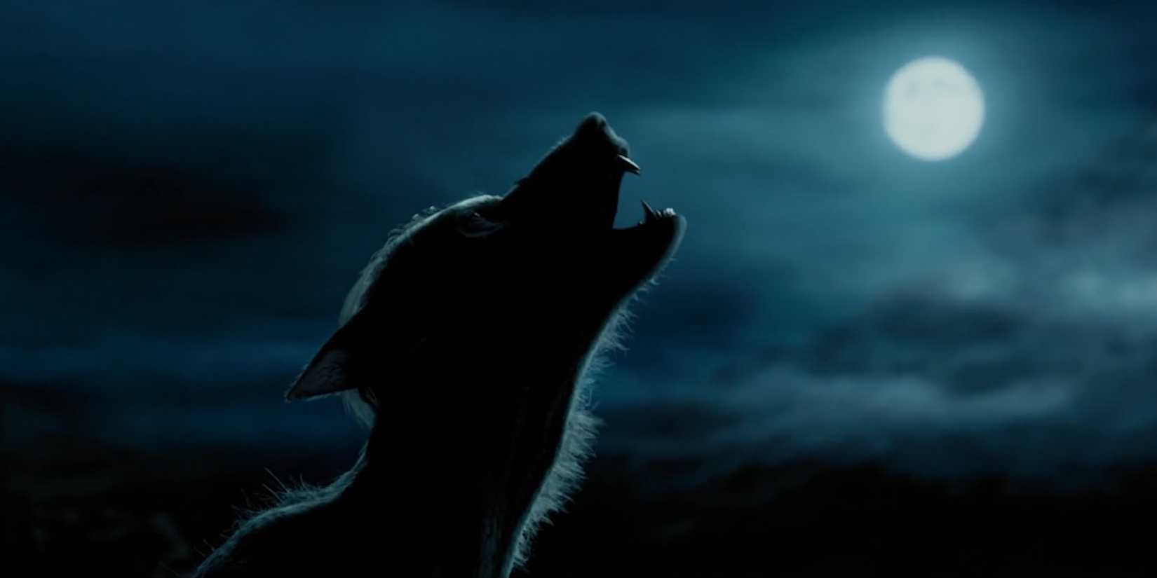 10 Best Werewolf Transformations in Movies, Ranked