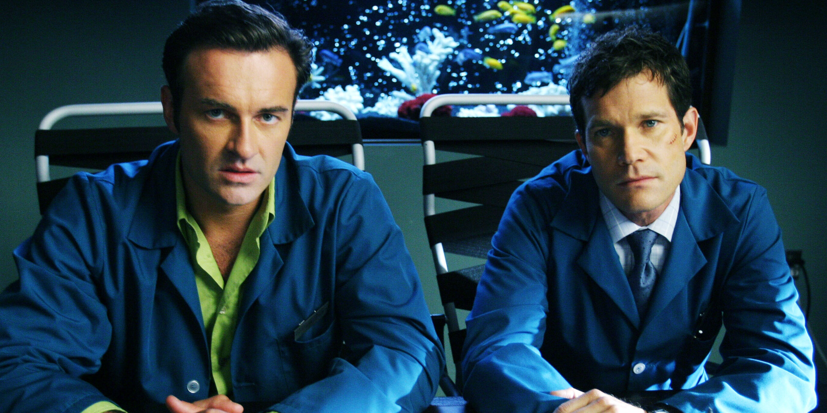 30 Best TV Medical Dramas, Ranked