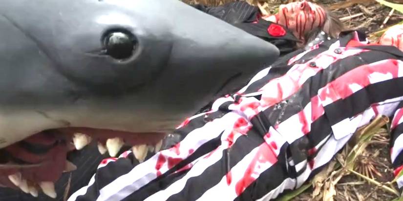 Don't Go in The Water: 10 Shark Week Movies That Are So Bad They're Good