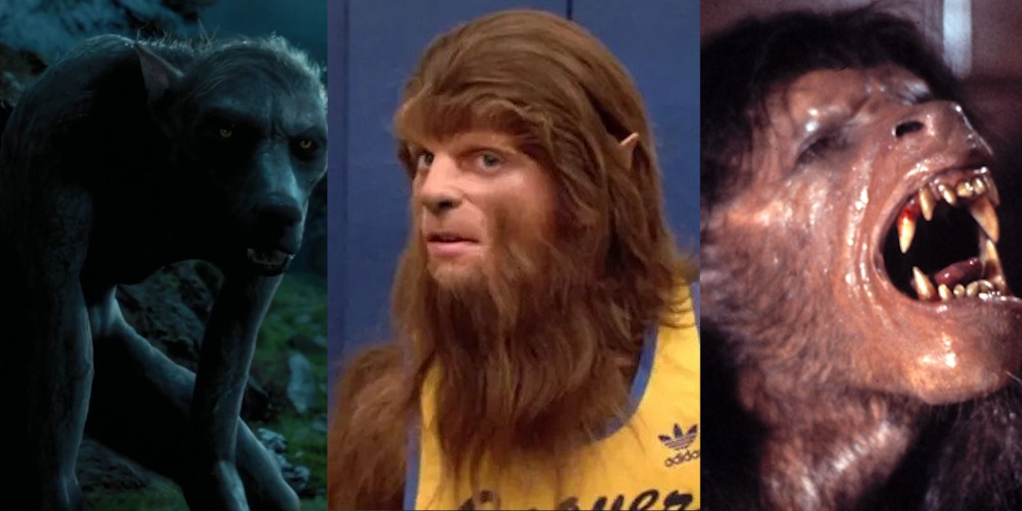 From 'Ginger Snaps' to 'Harry Potter': 10 Best Movie Werewolves, Ranked