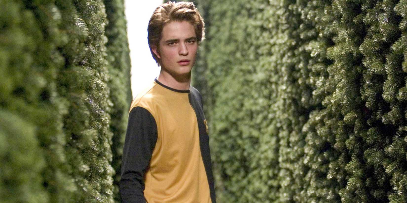 10 Best Harry Potter Friendships, Ranked