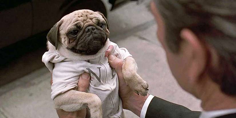 'John Wick' and 9 Other Movies With Cool Canine Characters