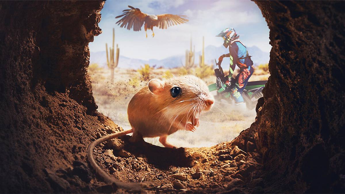 Best Netflix Nature Documentaries for Chilling Out