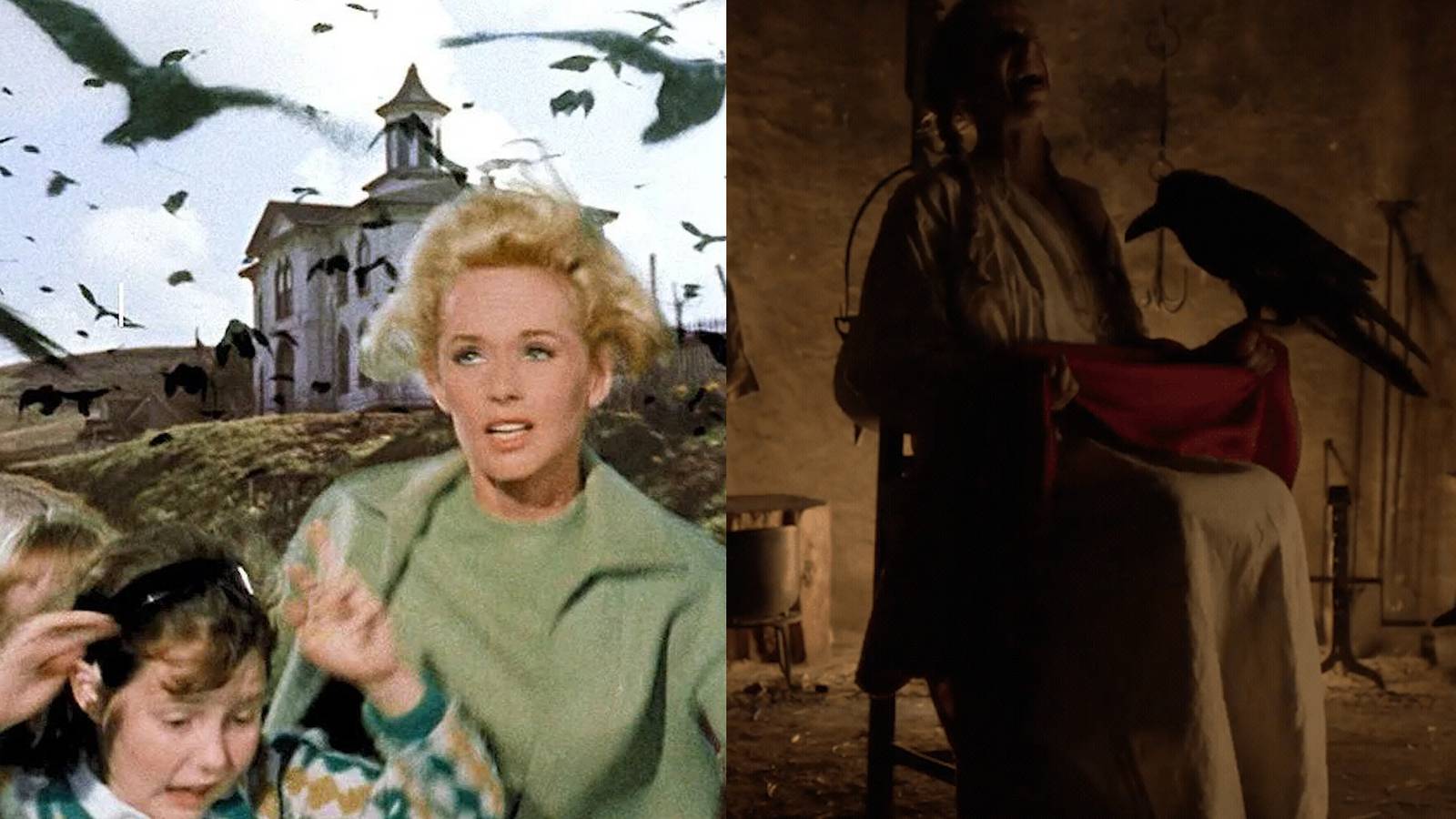 10 Best Horror Movies About Birds