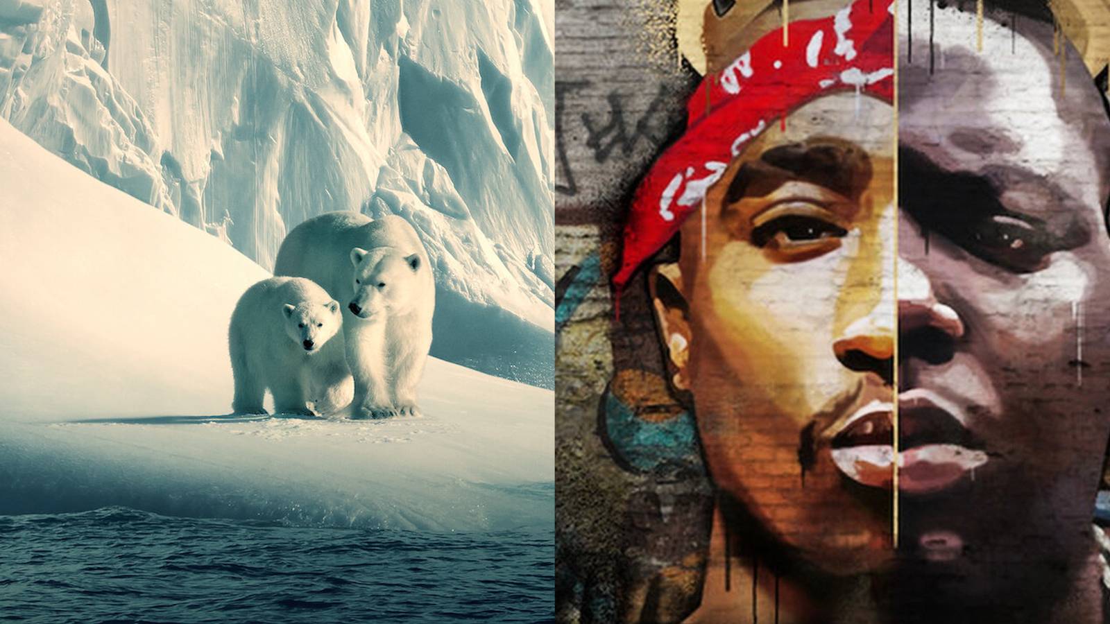 The 10 Best Netflix Original Documentaries, According to IMDb