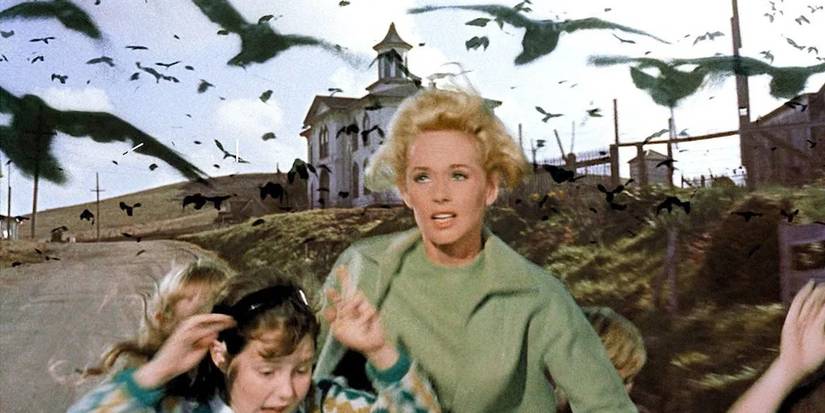 10 Best Horror Movies About Birds