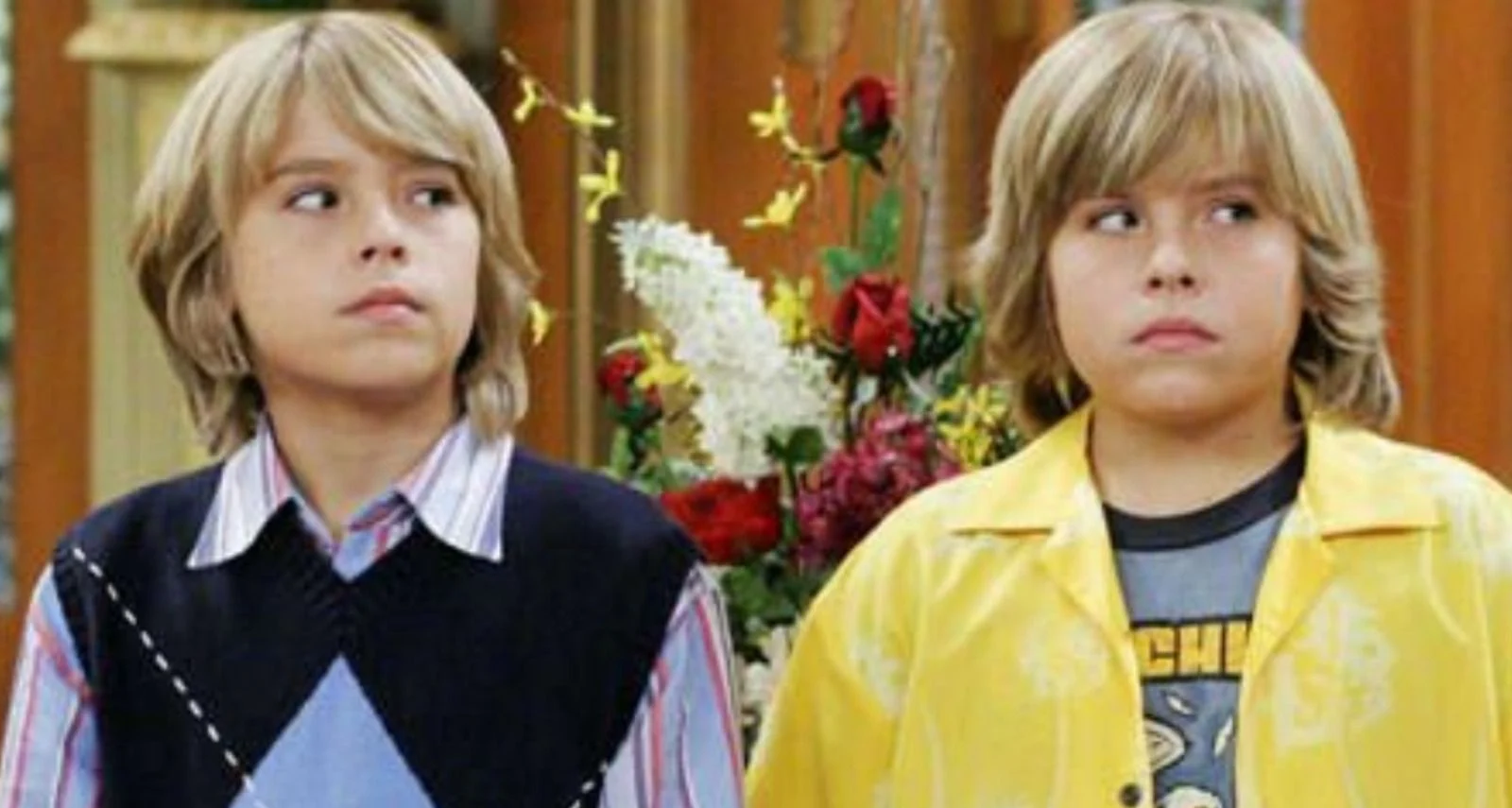 Top 10 Twins Who Became Acting Duos