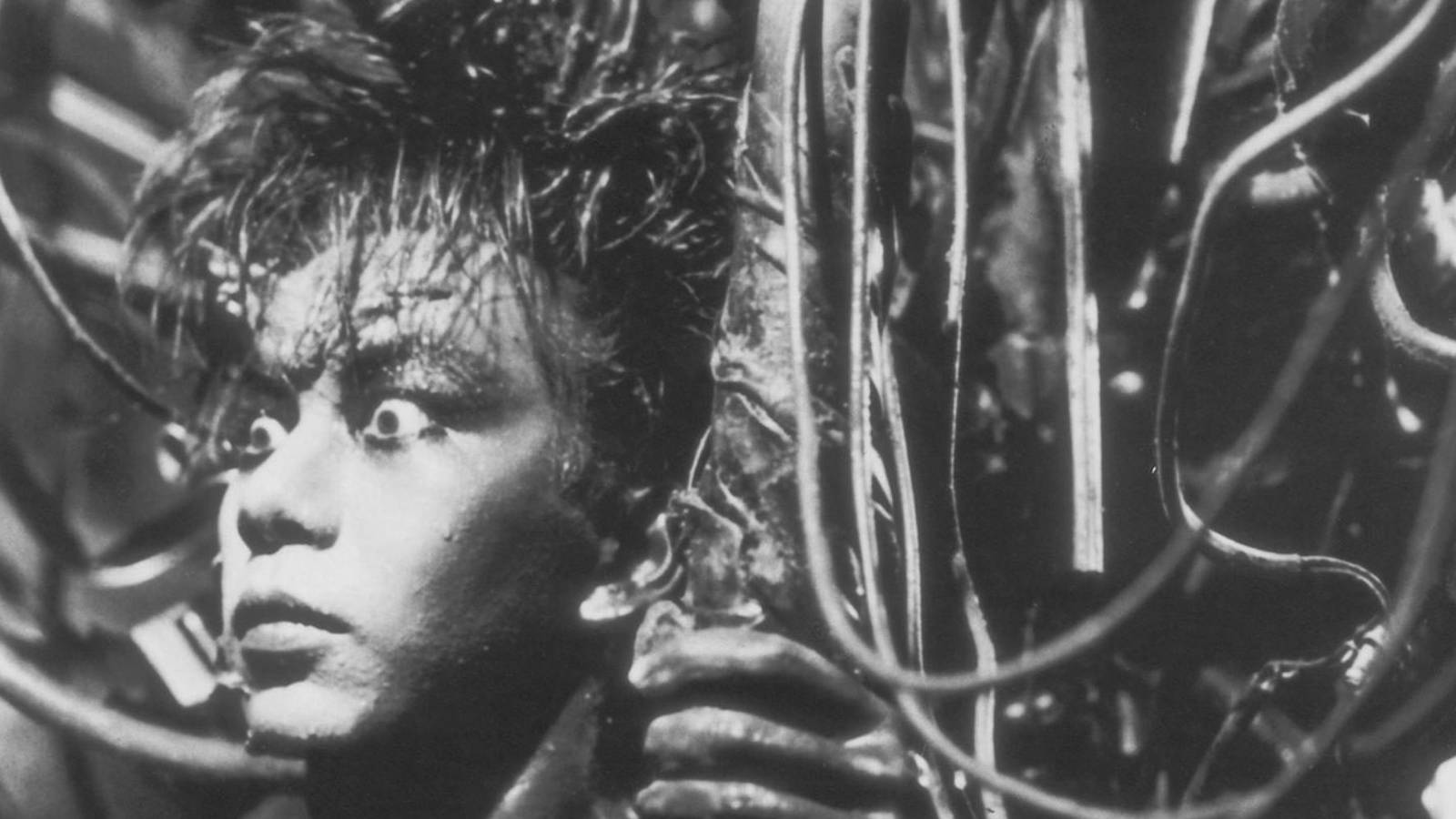 The 10 Weirdest Body Horror Films You Probably Haven't Heard Of