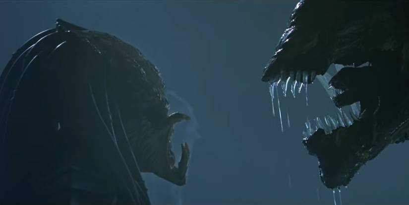 Best VS. Movies: From Alien vs. Predator to Kramer vs. Kramer