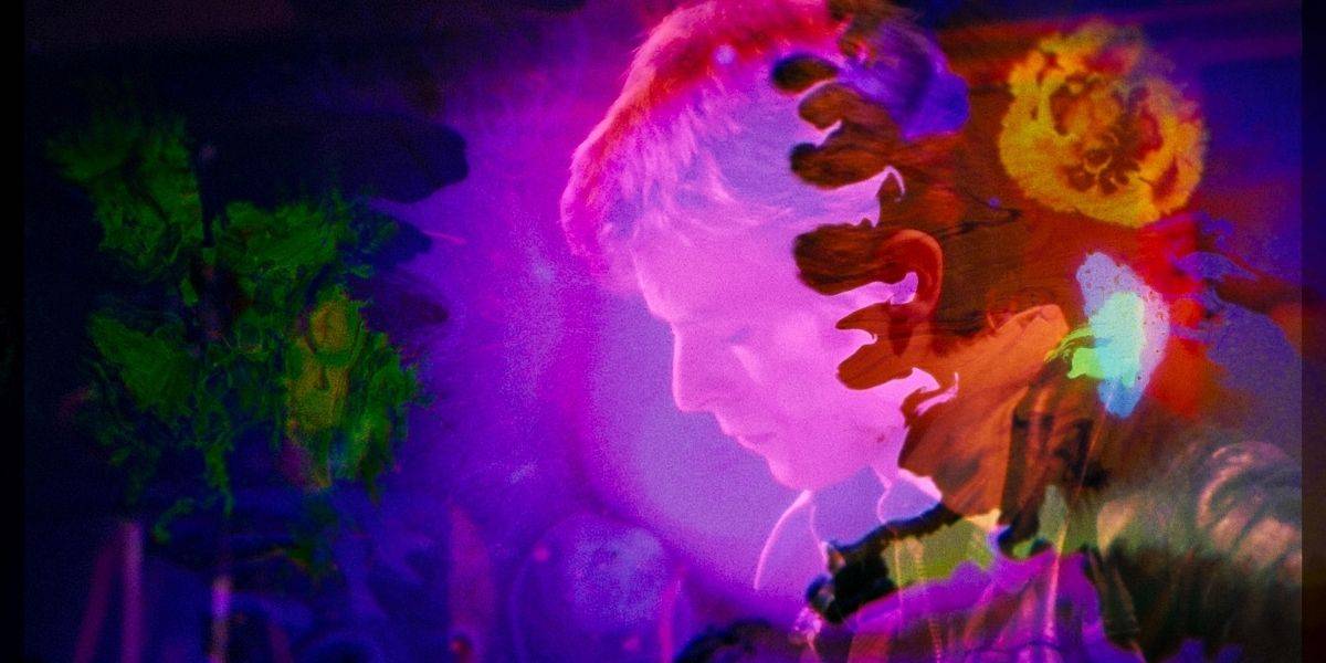Five Award-Winning NEON Films Join The Criterion Collection