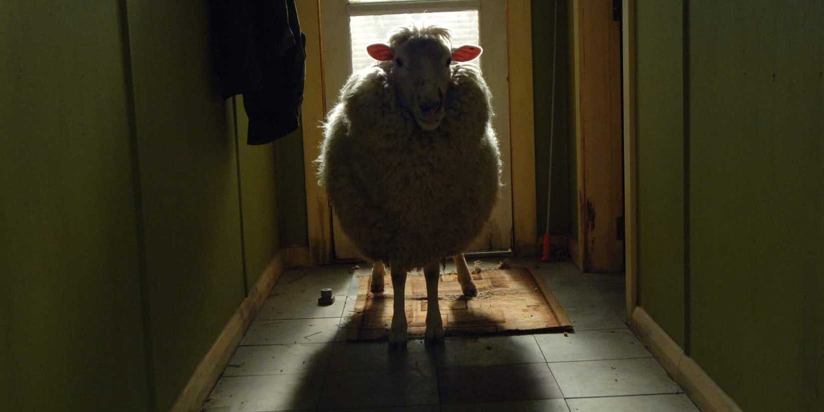10 Best Horror Movies About Farm Life, Ranked