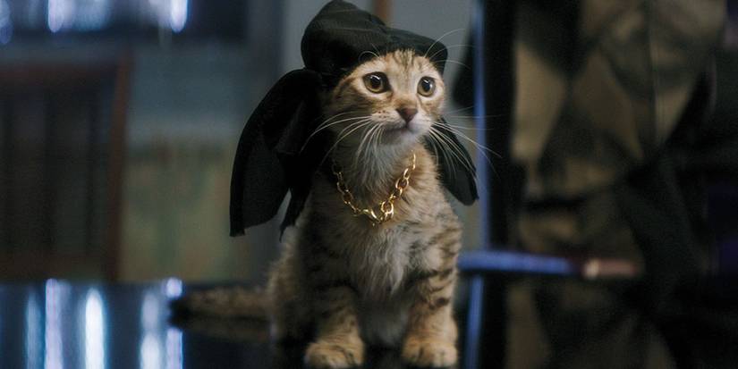 10 Best Movie Cats, From Goose to Mrs. Norris