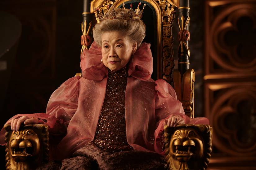 Vampire Academy: Moroi, Strigoi, and Dhampirs Explained