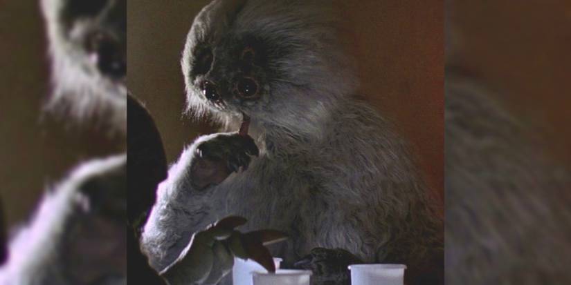 'Star Wars': 10 Best Cantina Aliens