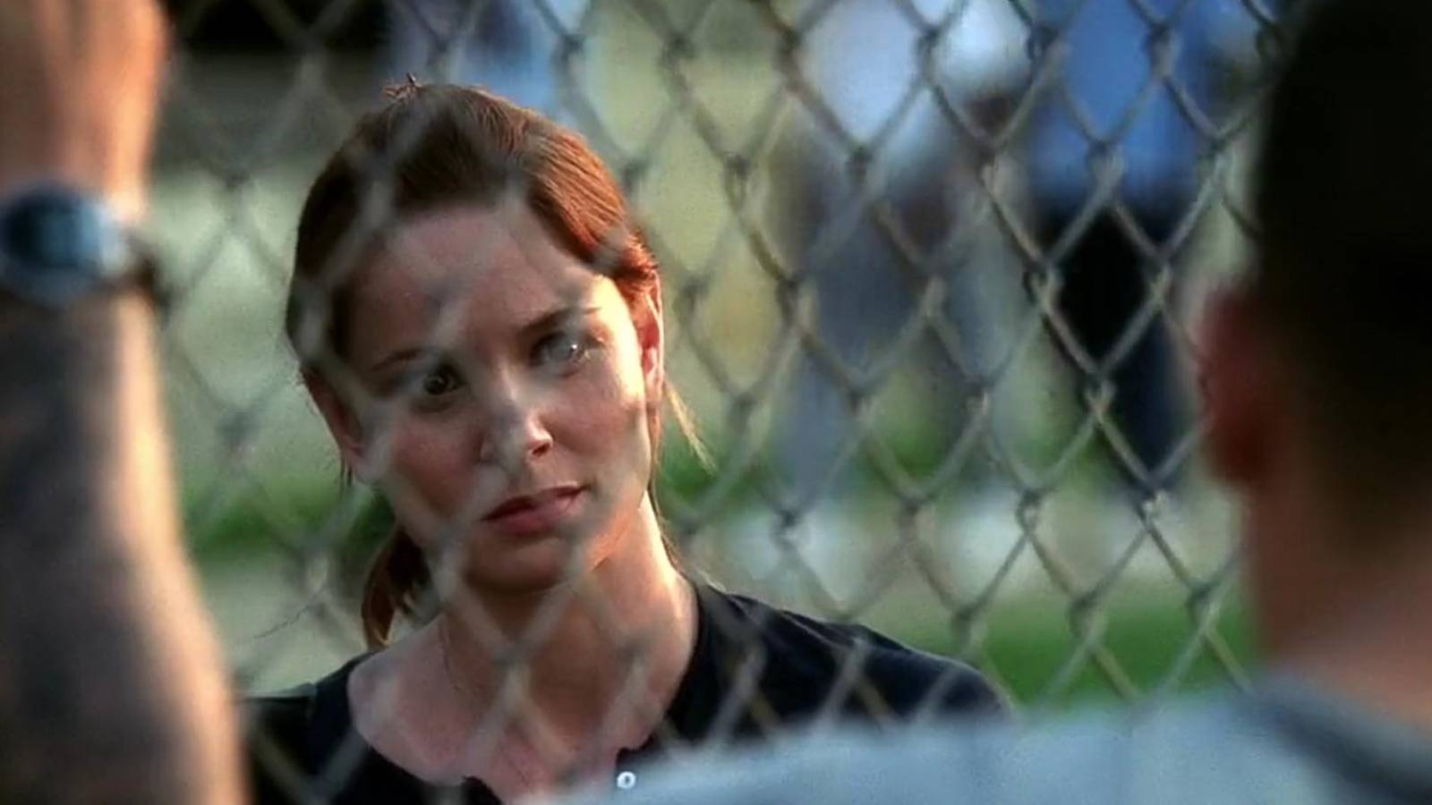 'Prison Break' Leaves Netflix Next Month