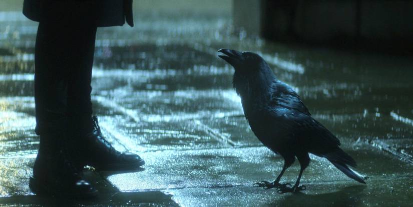 Why The Sandman's Matthew the Raven Is Such an Important Character