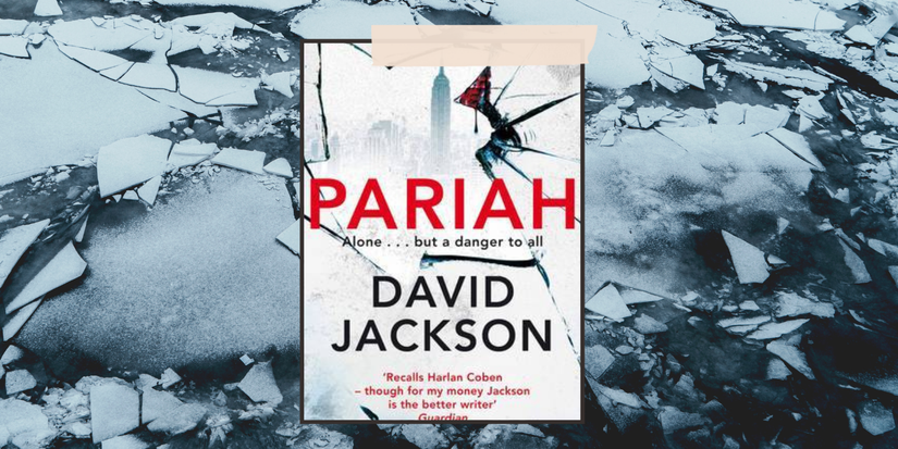 David Jackson's 9 Best Detective Crime Novels, Ranked According to ...