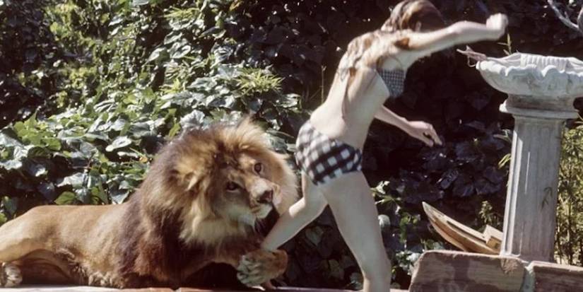 10 Horrifying Adventure Films That'll Make You Never Want to Leave Home