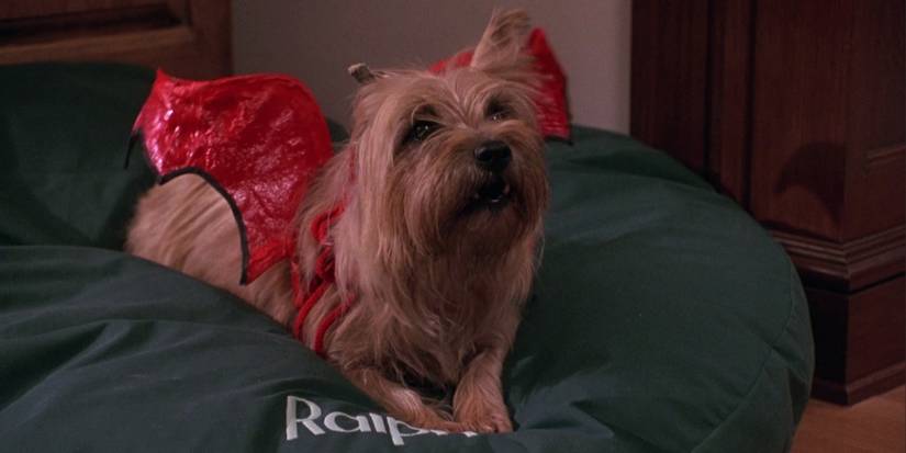 10 Surprising Behind-The-Scenes Details About 'Hocus Pocus'